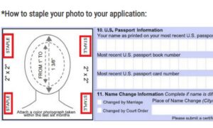 How To Staple Passport Photo? Tips To Attach To Application