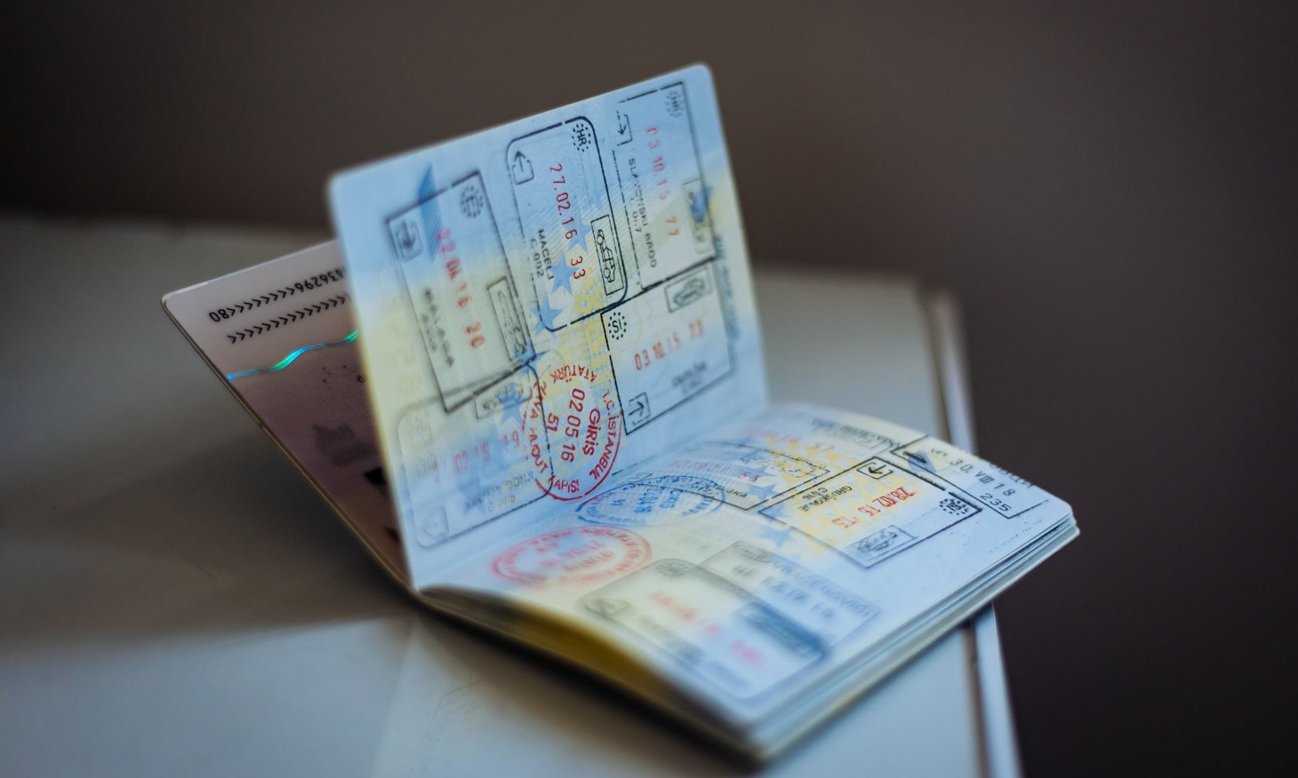 What Is A Passport Biographic Page In 2024 