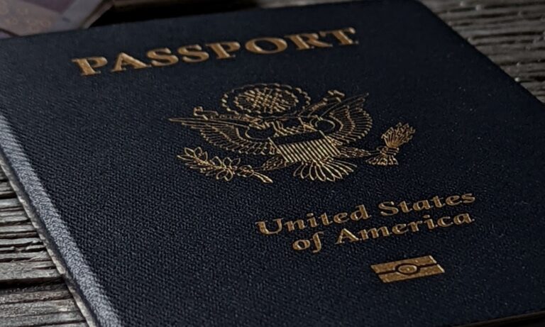 Type P Passport—All to Know in 2024
