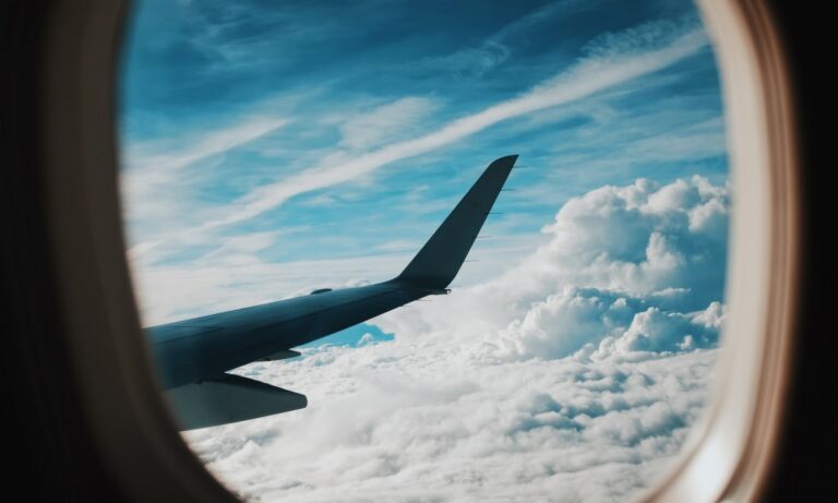 Type P Passport—All to Know in 2024